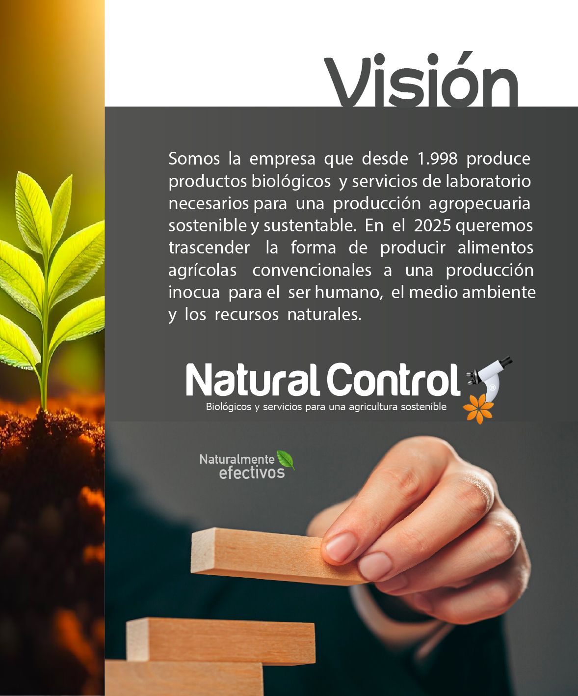 VISIÓN – Natural Control